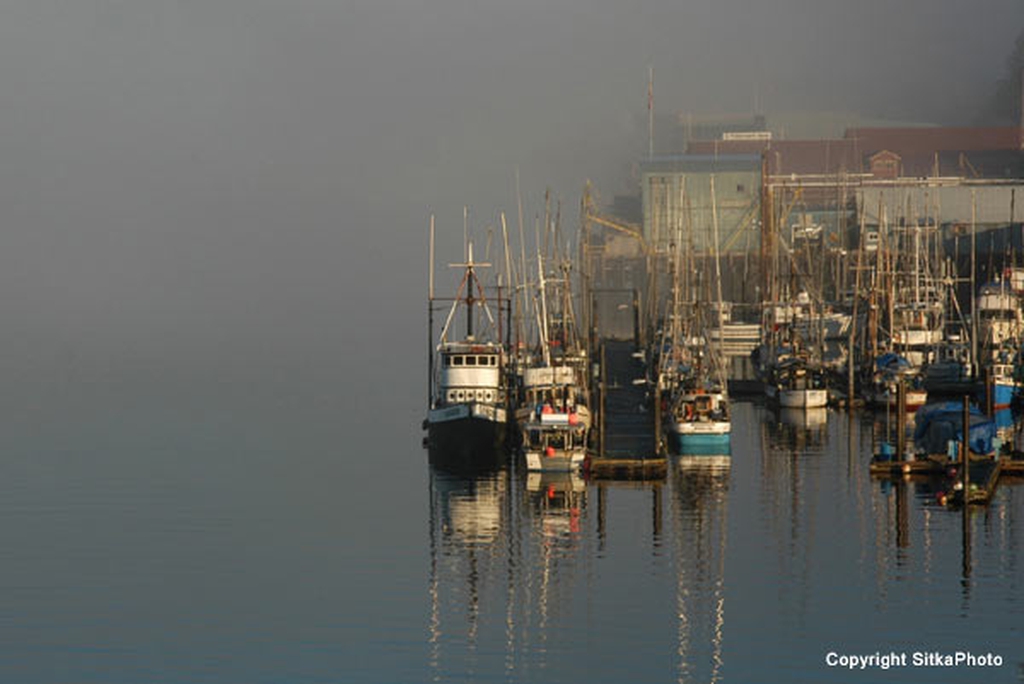 The City & Borough of Sitka Alaska - Sitka Harbor Photo Gallery